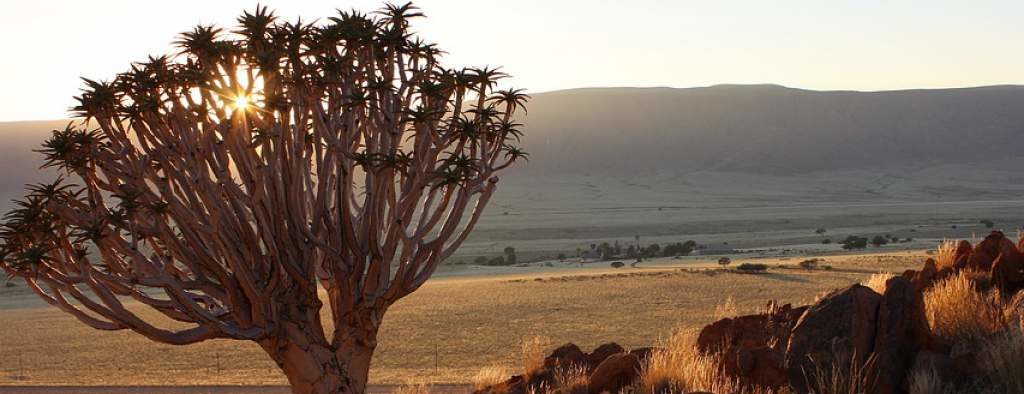 Somalia | Global Climate Pledge