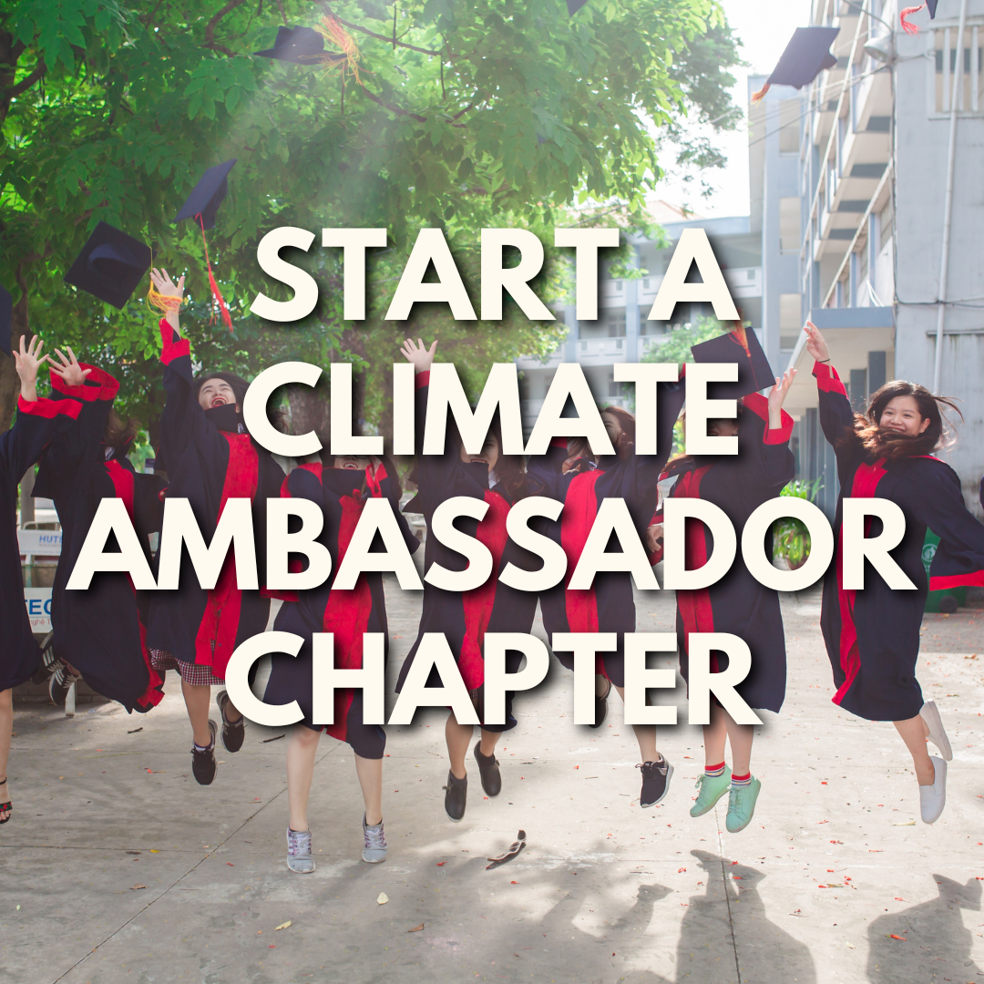 University Climate Ambassadors | Global Climate Pledge